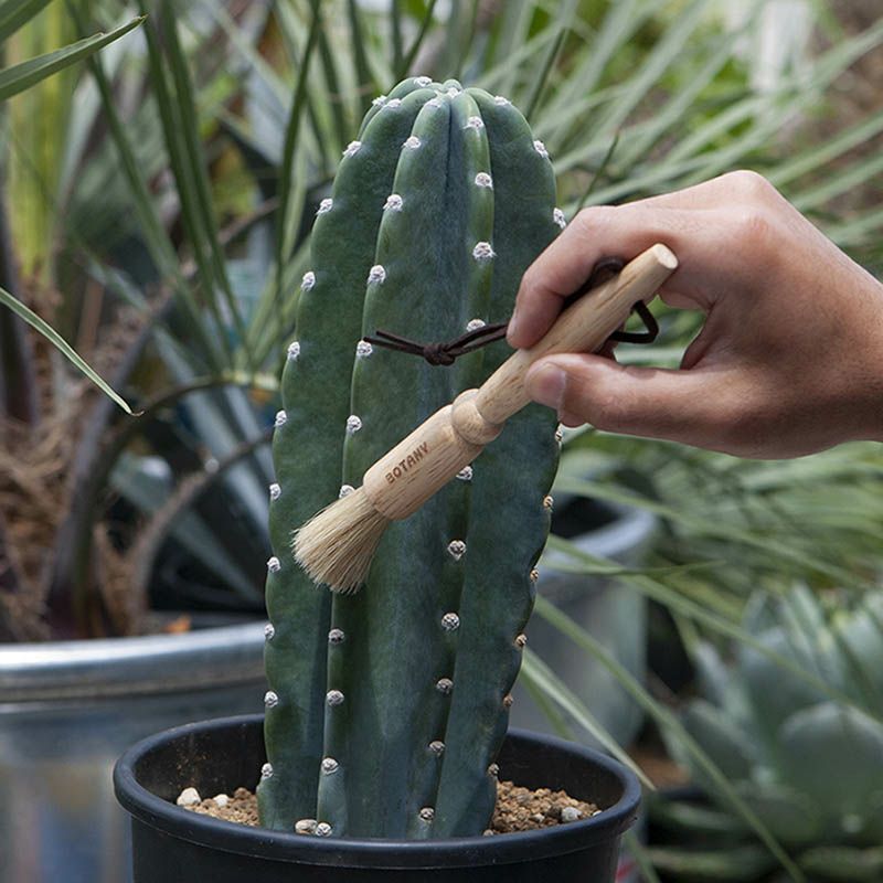 DULTON（ダルトン）ガーデニング｜ブラシ ペン